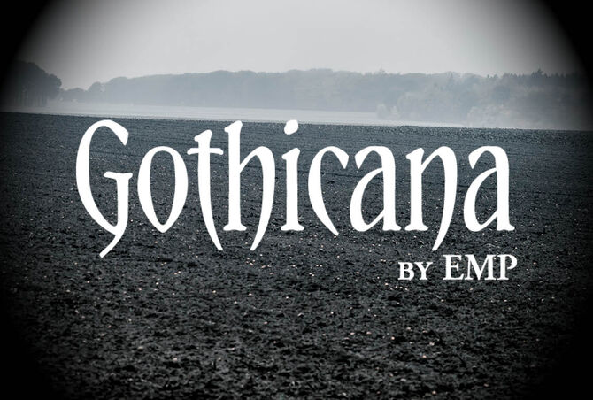 Goth Clothes | Mens and Womens Gothic Fashion | EMP
