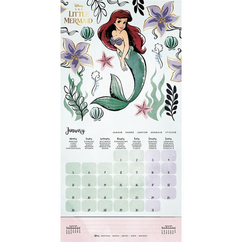 Disney Princess - 2026 Wall Calendar | Disney Wall Calendar | EMP