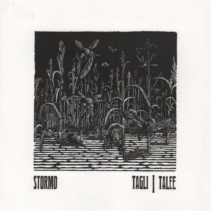 Tagli / Talee | Stormo CD | EMP