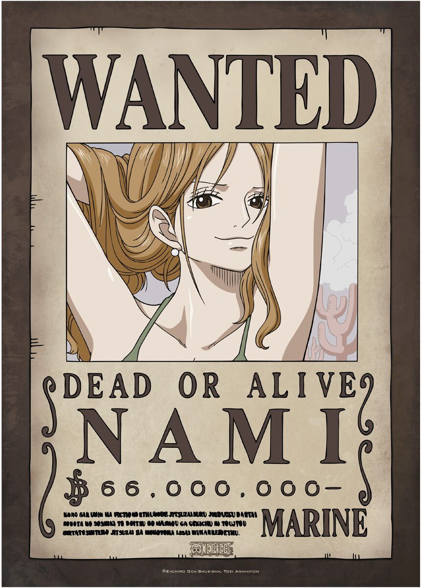 Poster Portfolio - 9 Poster | One Piece Poster | EMP