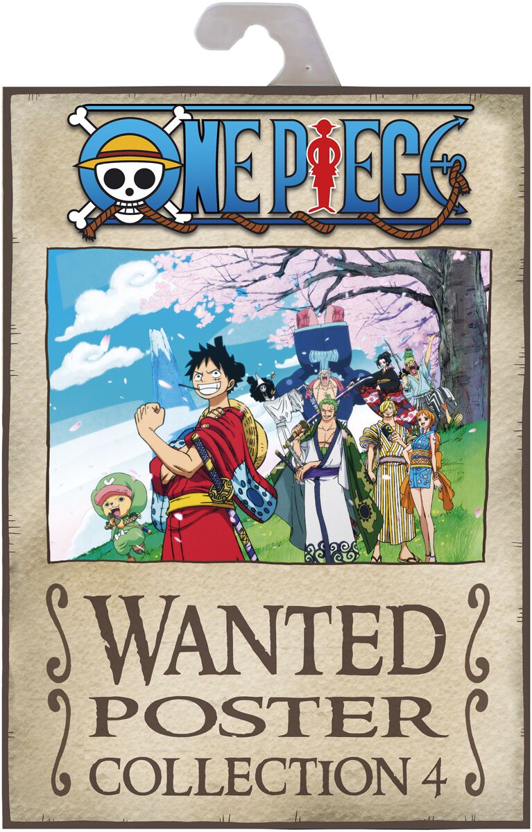 Poster Portfolio - 9 Poster | One Piece Poster | EMP