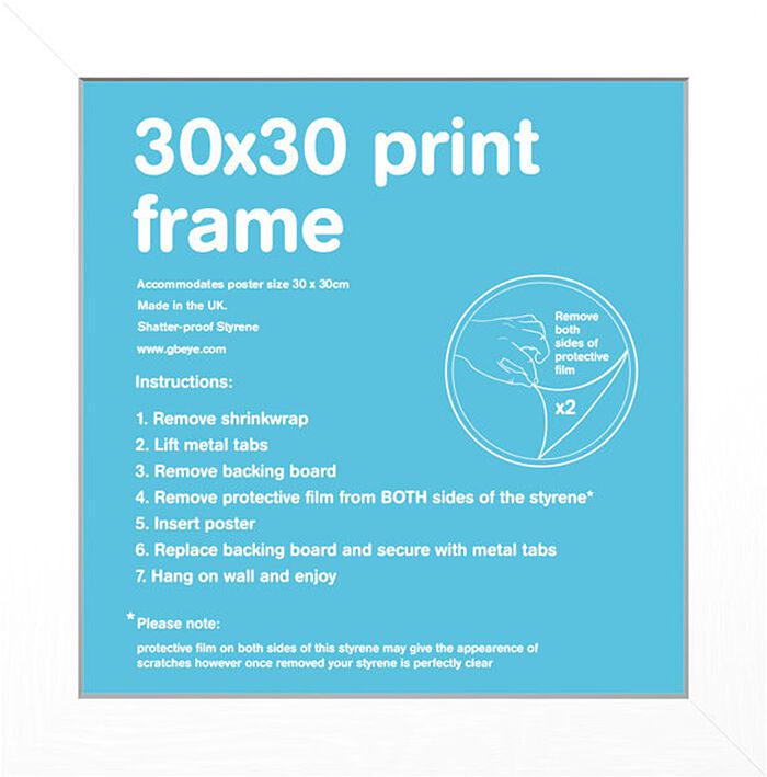 Vinyl Frame Poster Frame | EMP