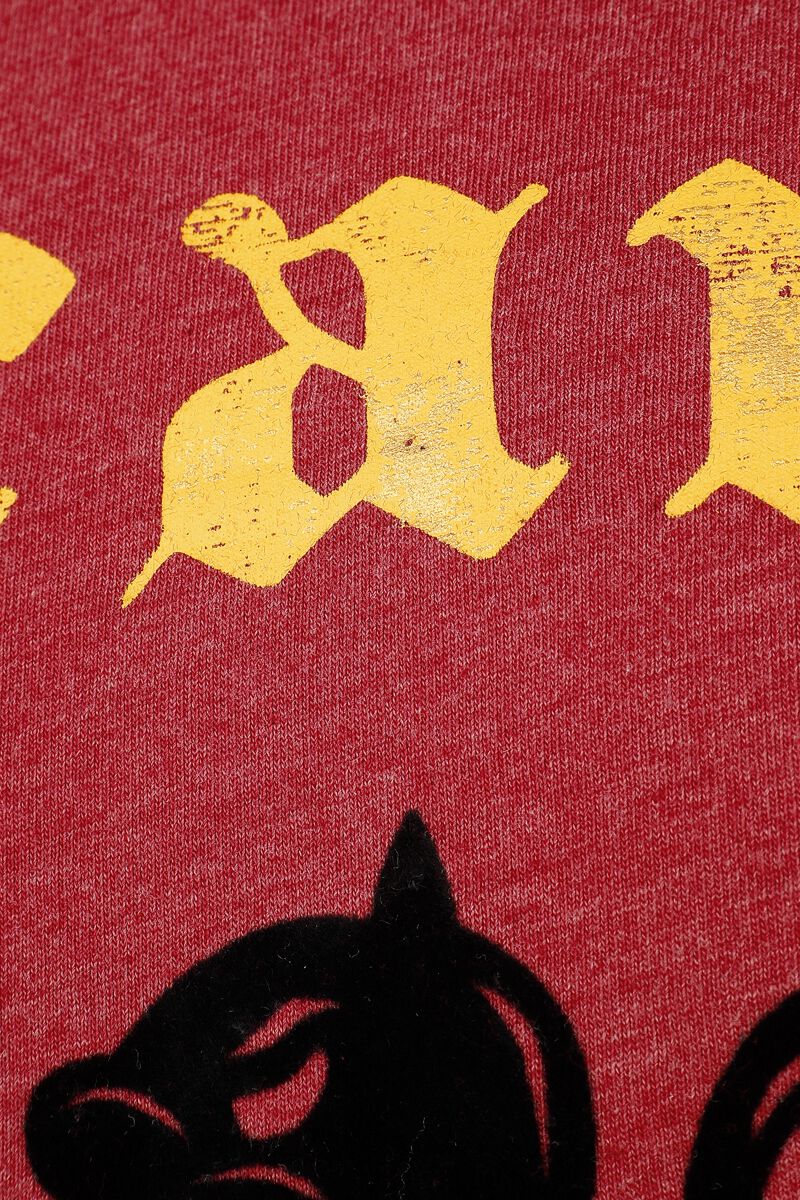 Gryffindor - Brave | Harry Potter T-Shirt | EMP