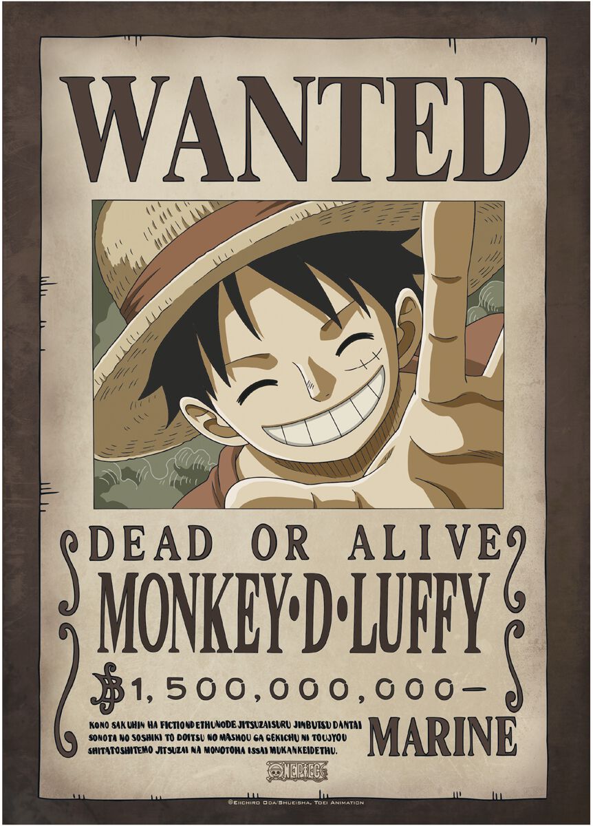 Poster Portfolio - 9 Poster | One Piece Poster | EMP